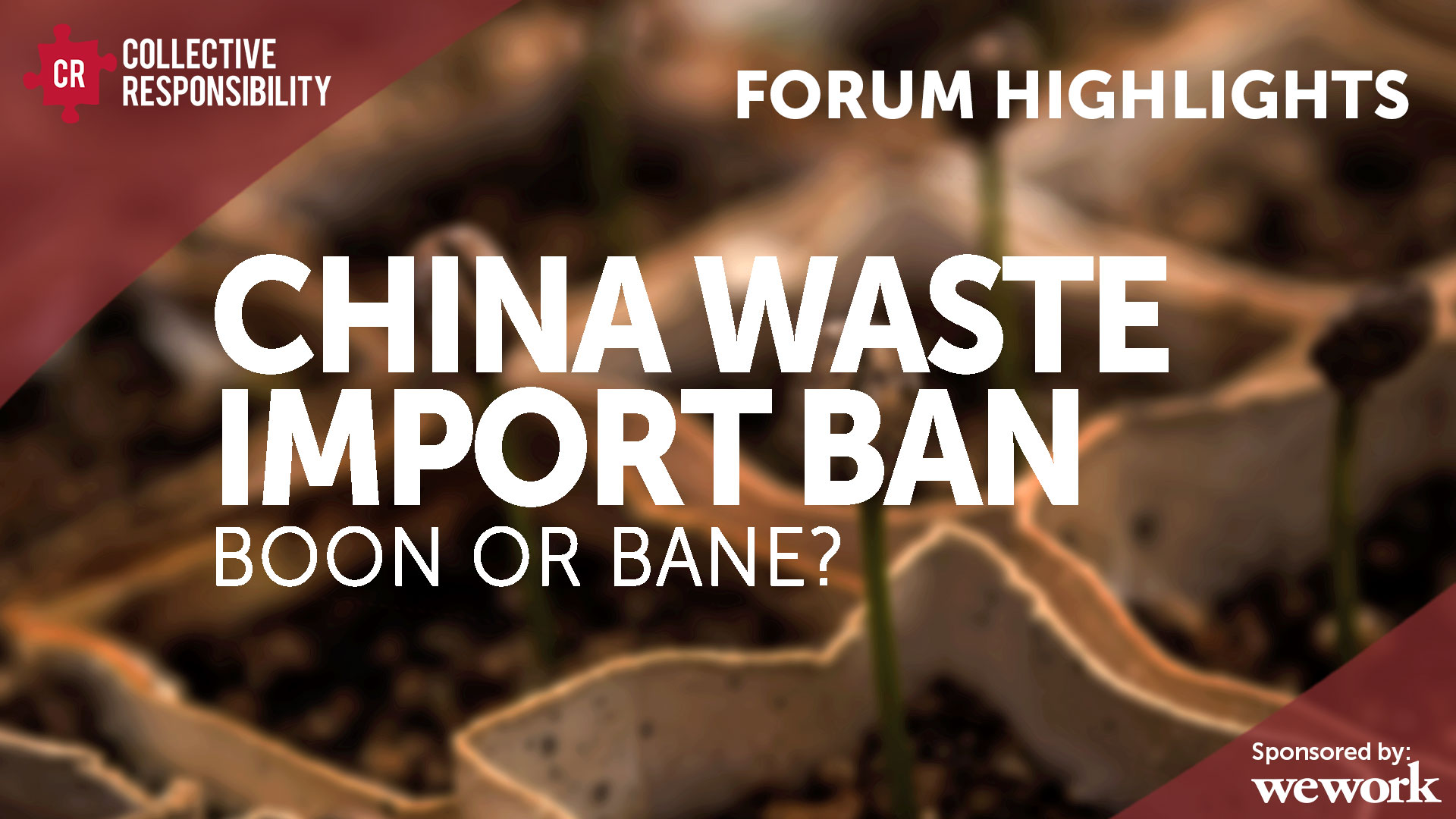 China Waste Import Ban: Boon or Bane? - Collective Responsibility