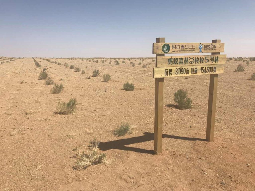 CSR in China: From Follower to Leader - Collective Responsibility