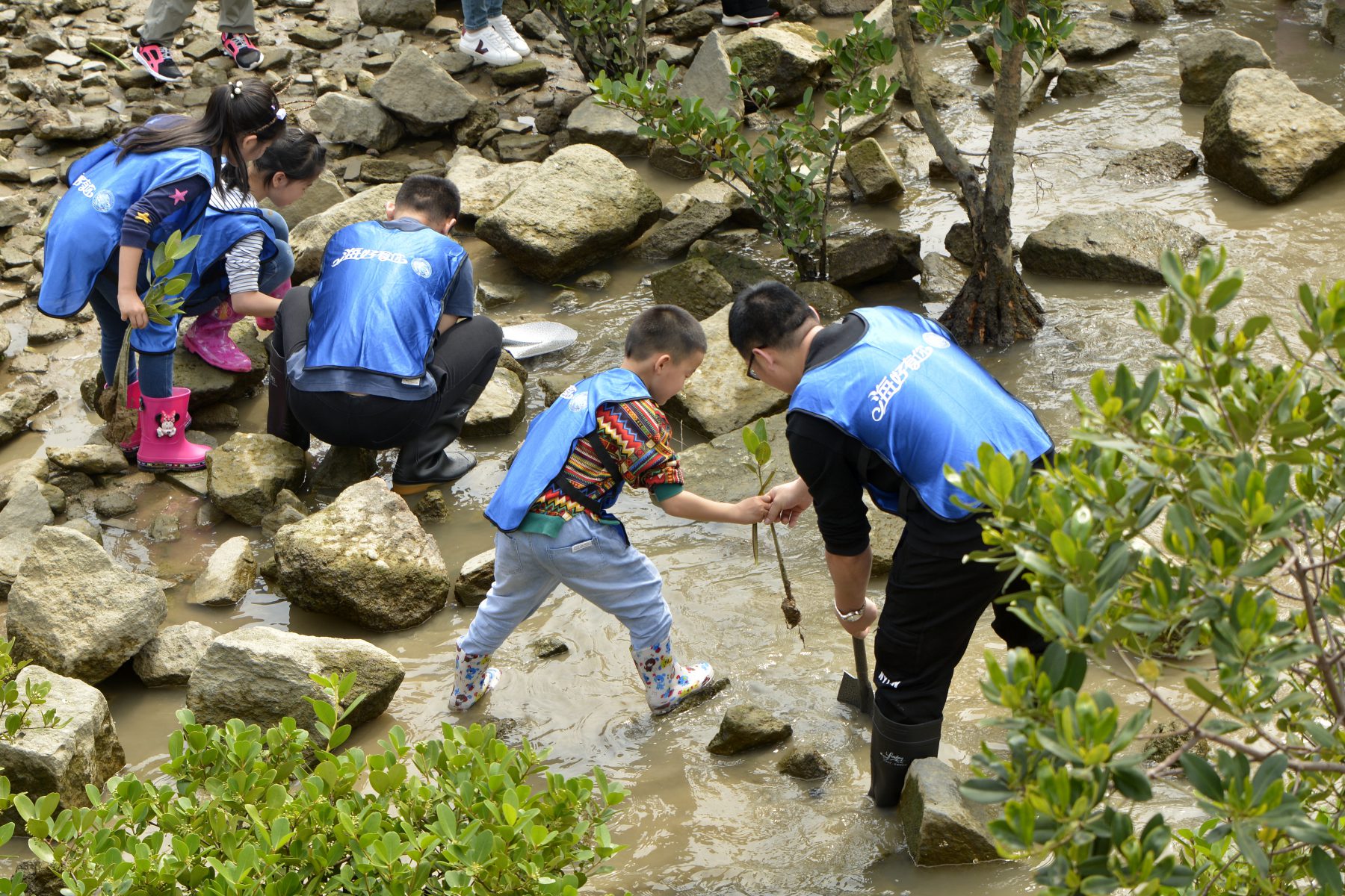 NGO Profile: Blue Ocean Association - Collective Responsibility